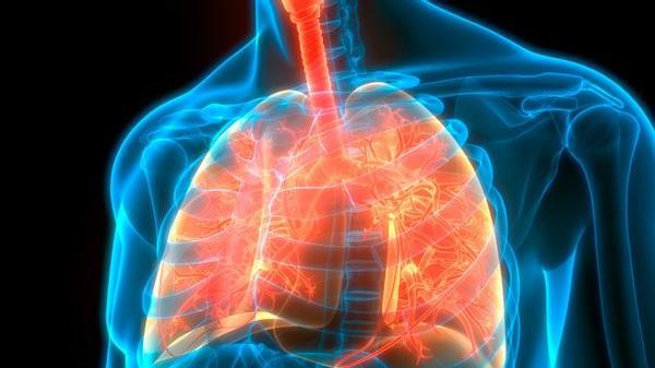 Koka Fibrose Cística Tratamento Pelo Sus Atende Cerca De 4 3 Mil